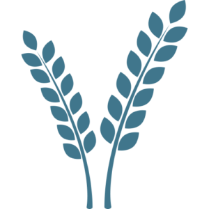 About Us | FuturesOne